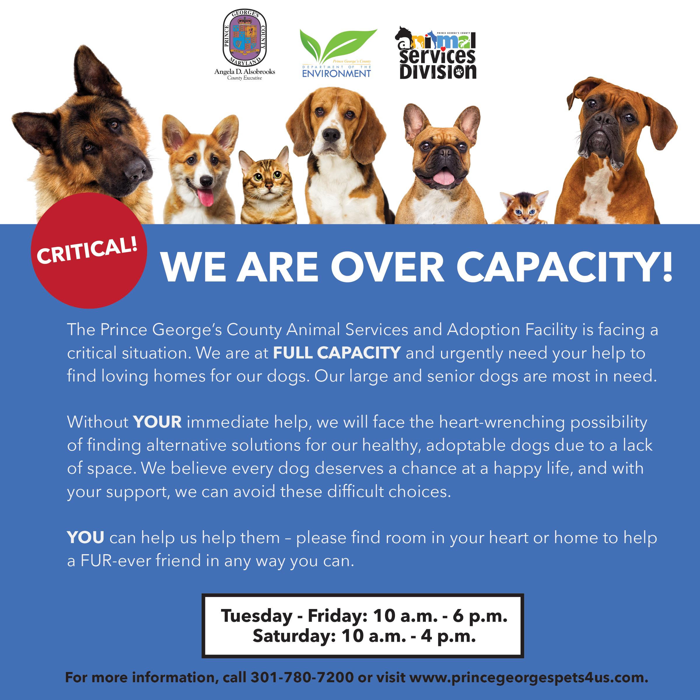 Pet Adoption | Prince George's County