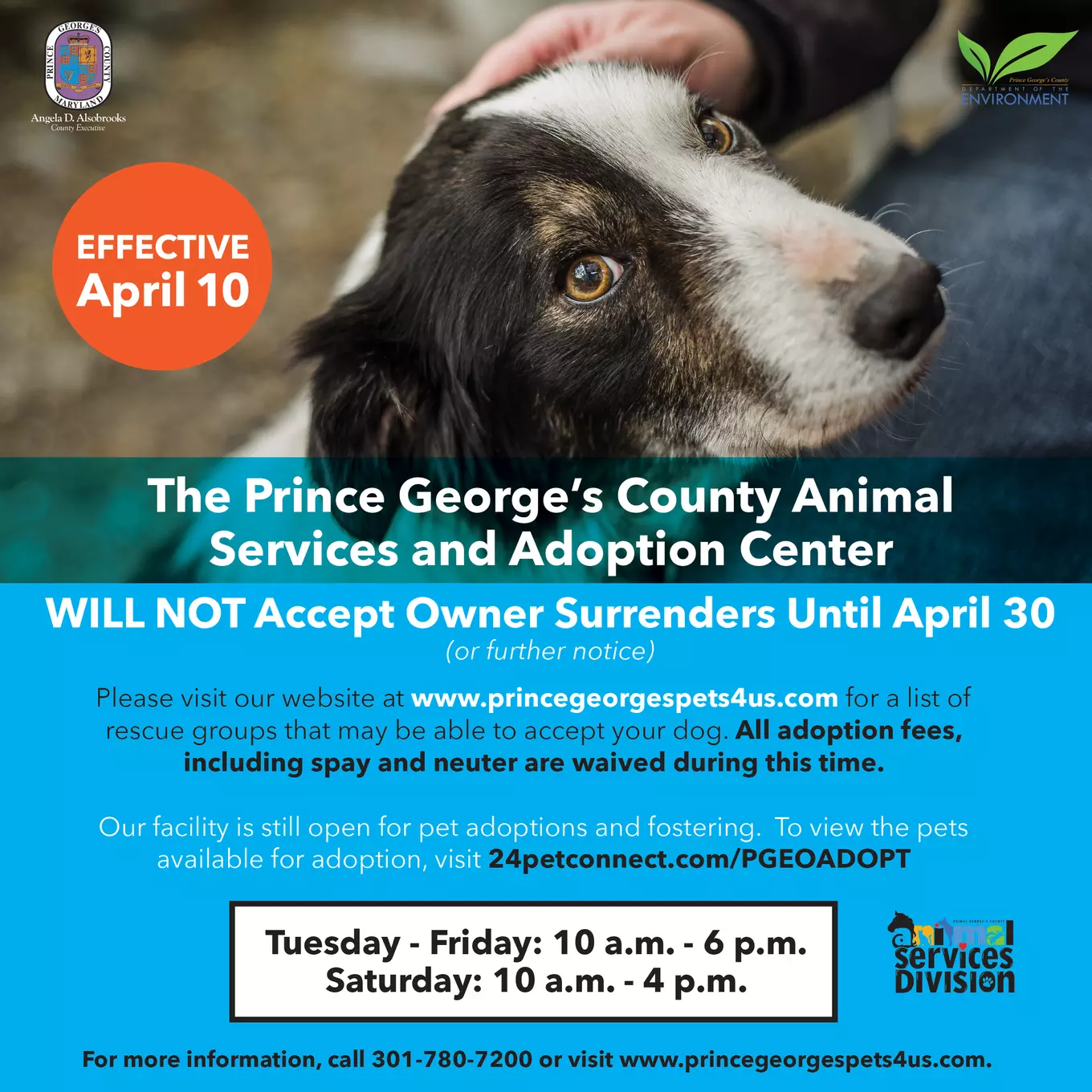 Pet Adoption | Prince George's County